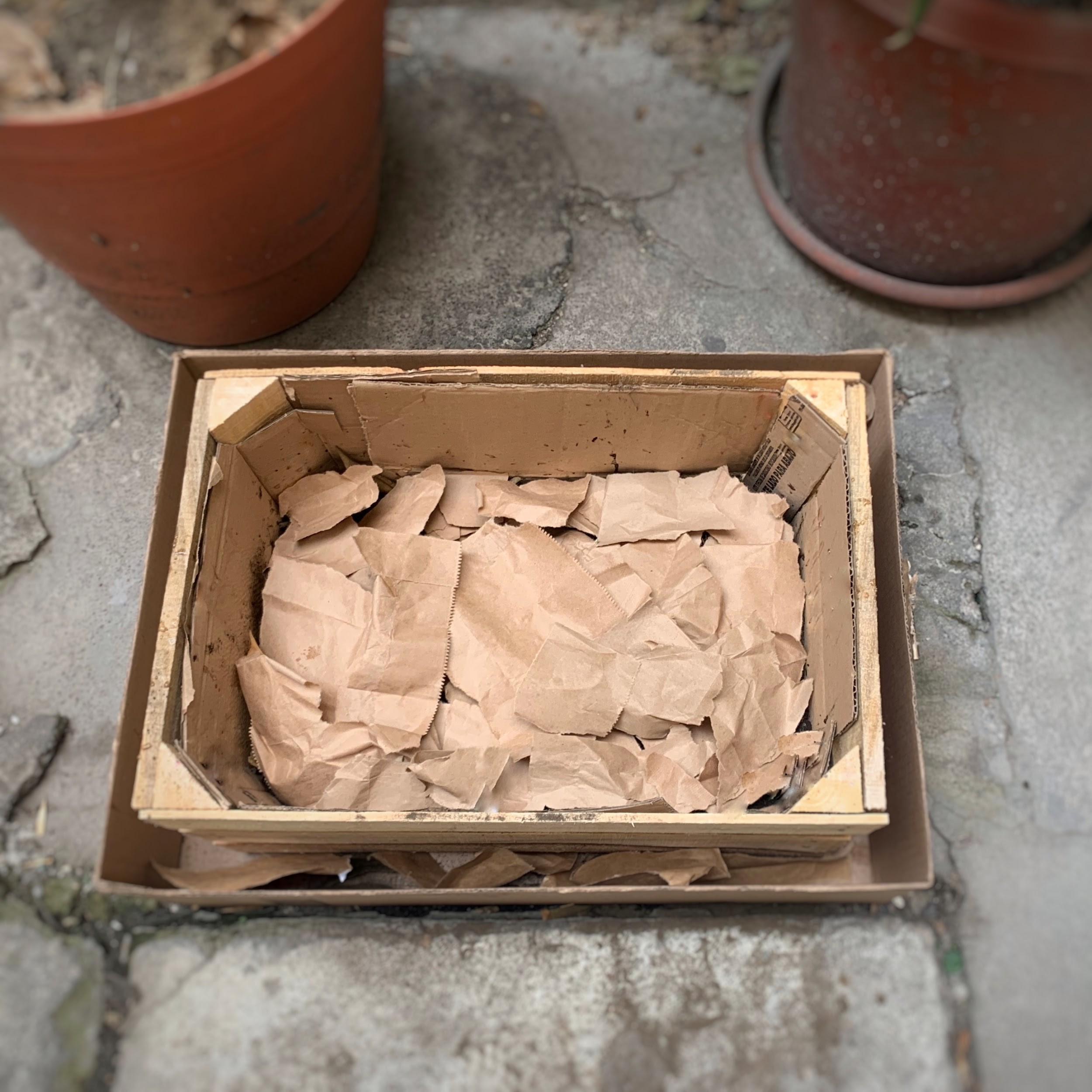 ¿Cómo hacer una composta casera? [2020] | Crehana